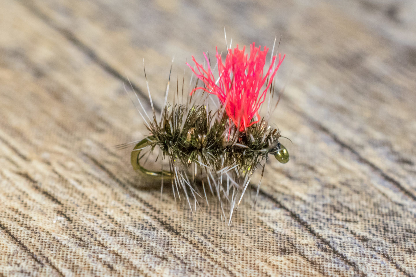 Griffith's Gnat - Tailwater Junkie
