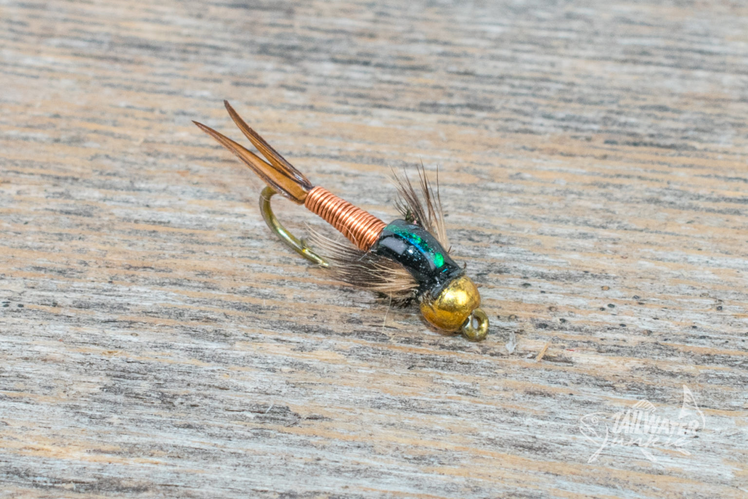 Caddisflies Archives - Tailwater Junkie