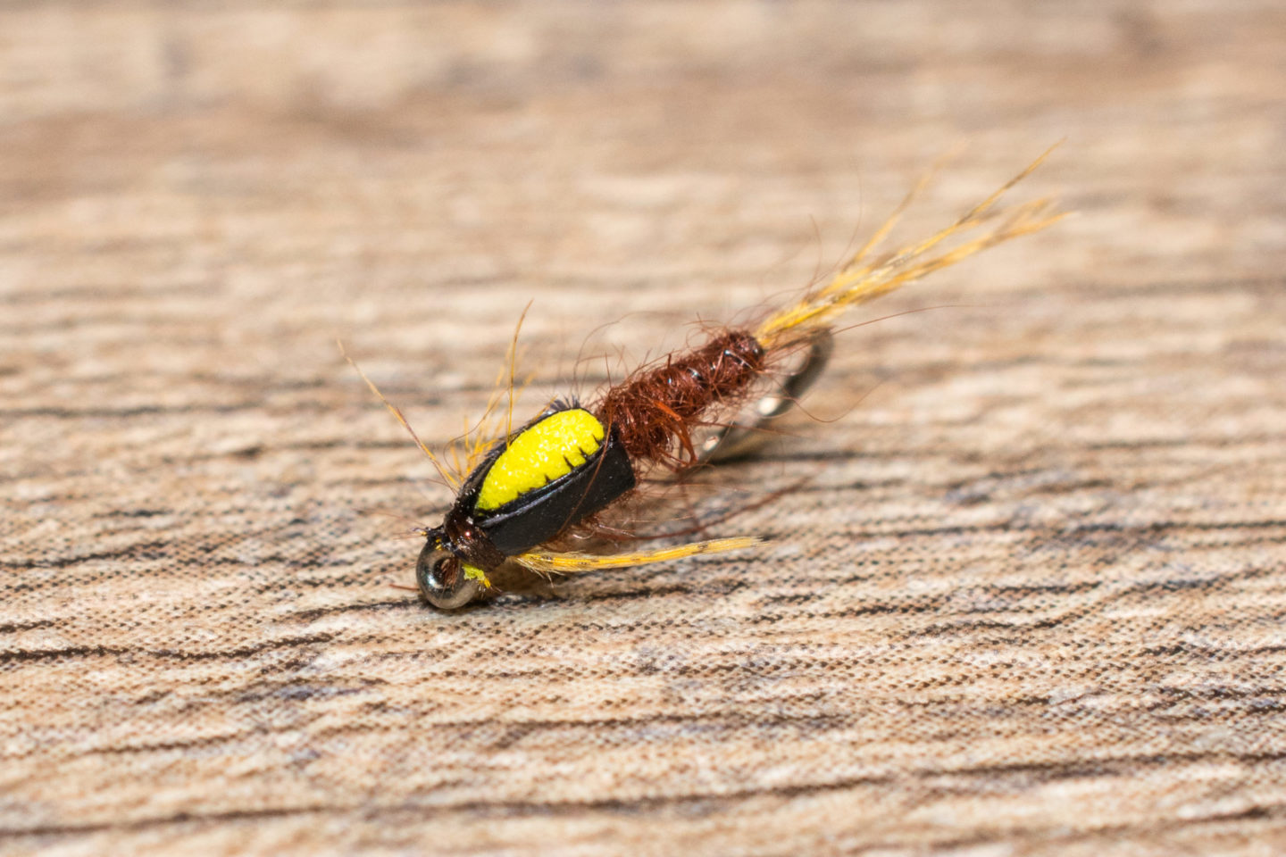 Split Case PMD - Tailwater Junkie