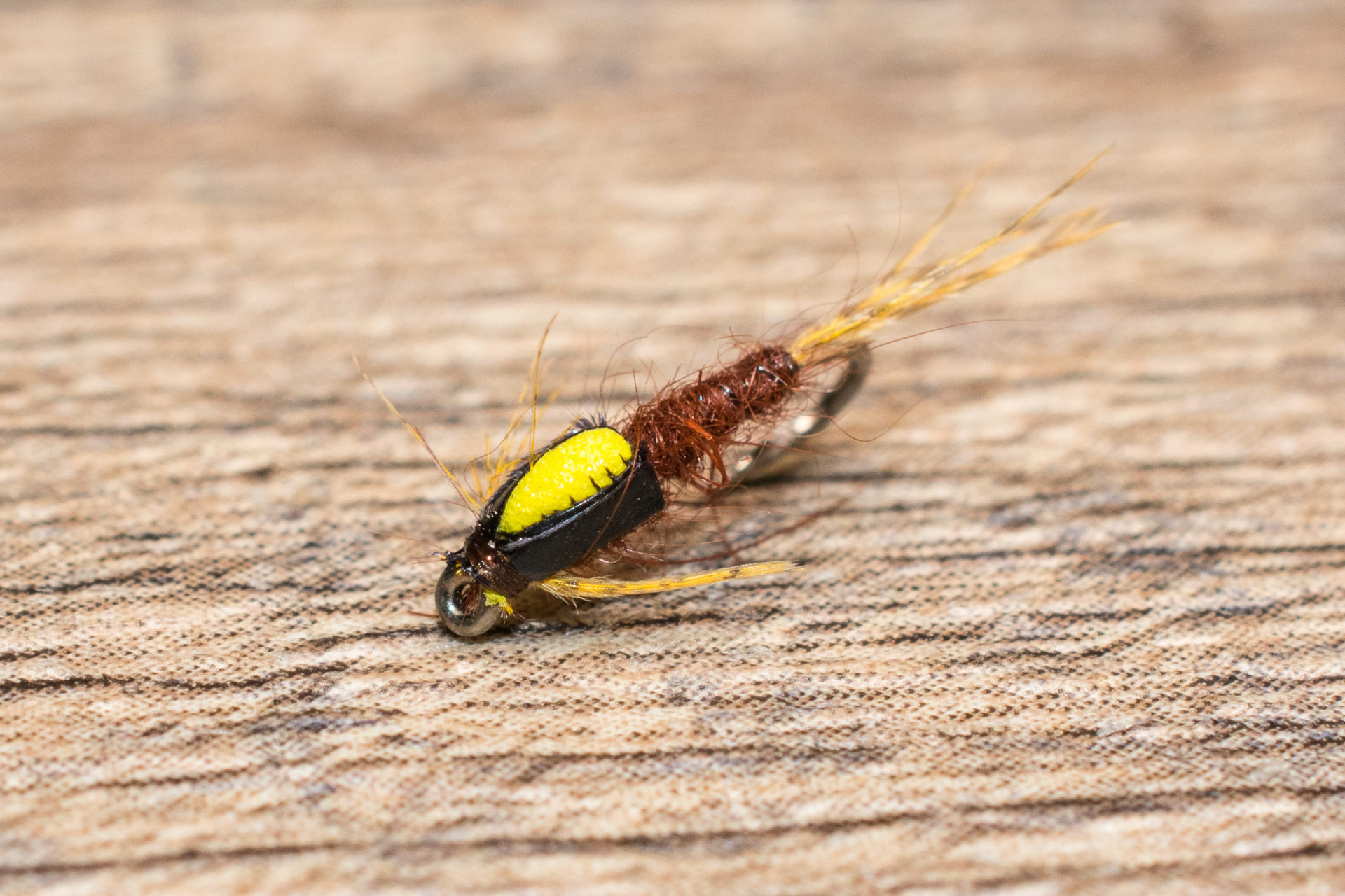 Split Case PMD - Tailwater Junkie