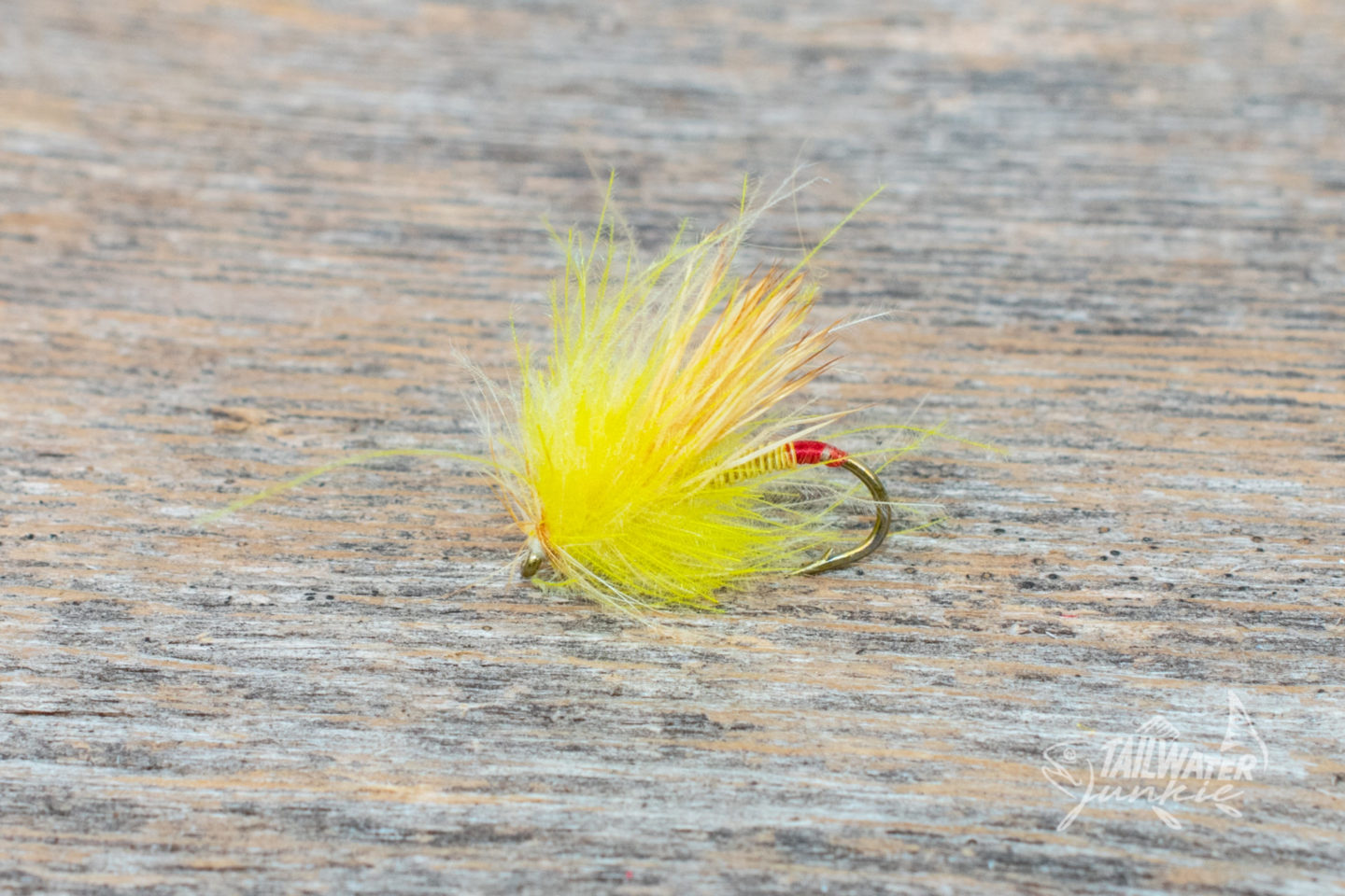 Yellow Sally Chubby - Tailwater Junkie