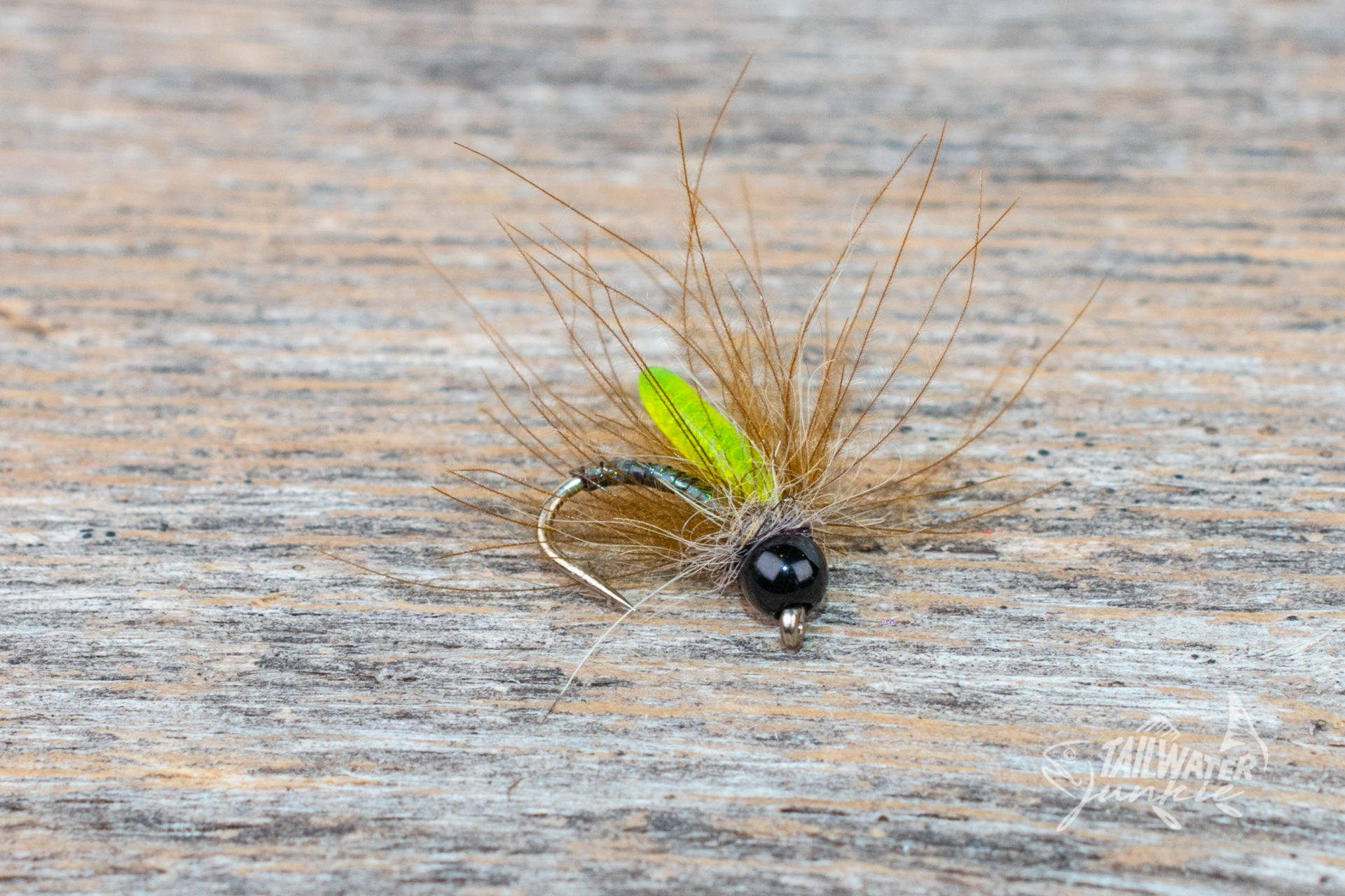 Graphic Caddis - Tailwater Junkie