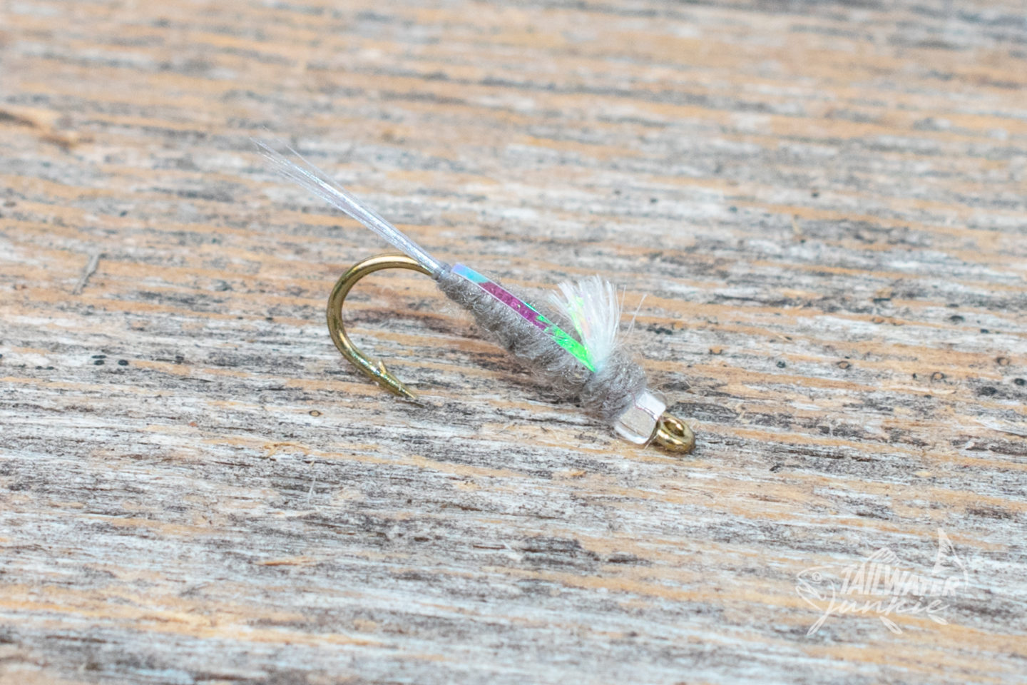 RS2 - Tailwater Junkie