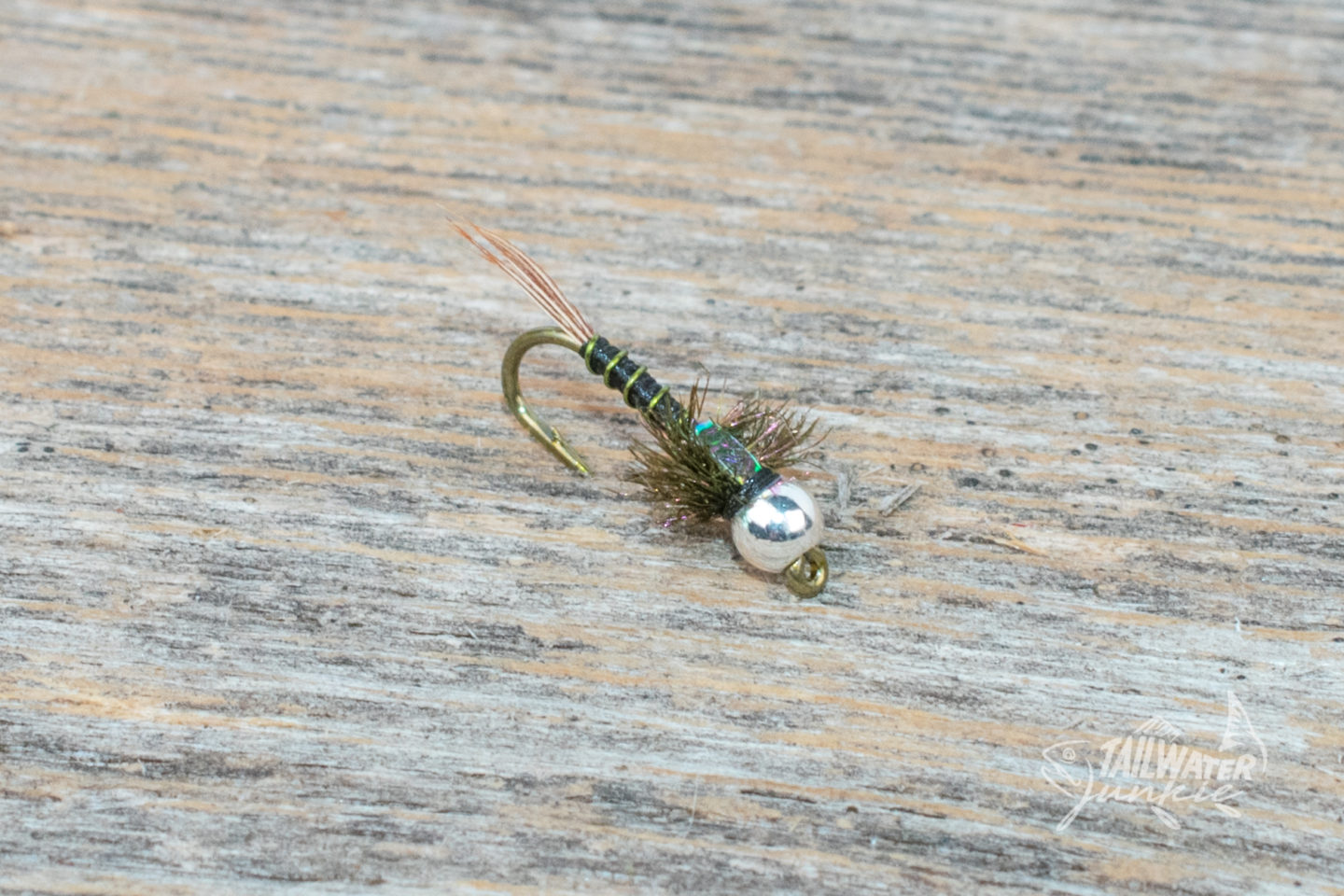 Skinny Nelson - Tailwater Junkie