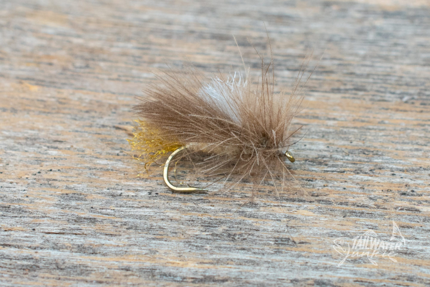 Must-have caddis patterns for June - Tailwater Junkie